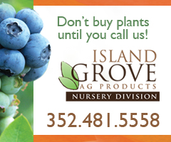 Florida Blueberry Growers Association